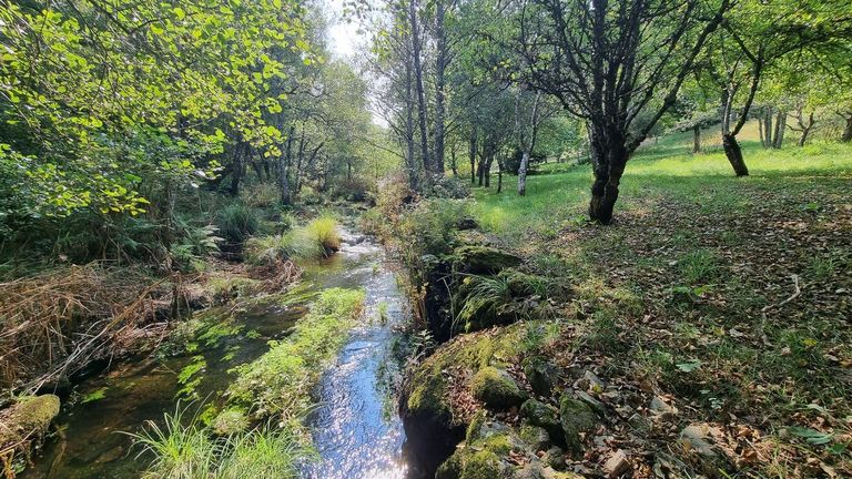 Una ruta entre castillos y animales para disfrutar en familia a media ...
