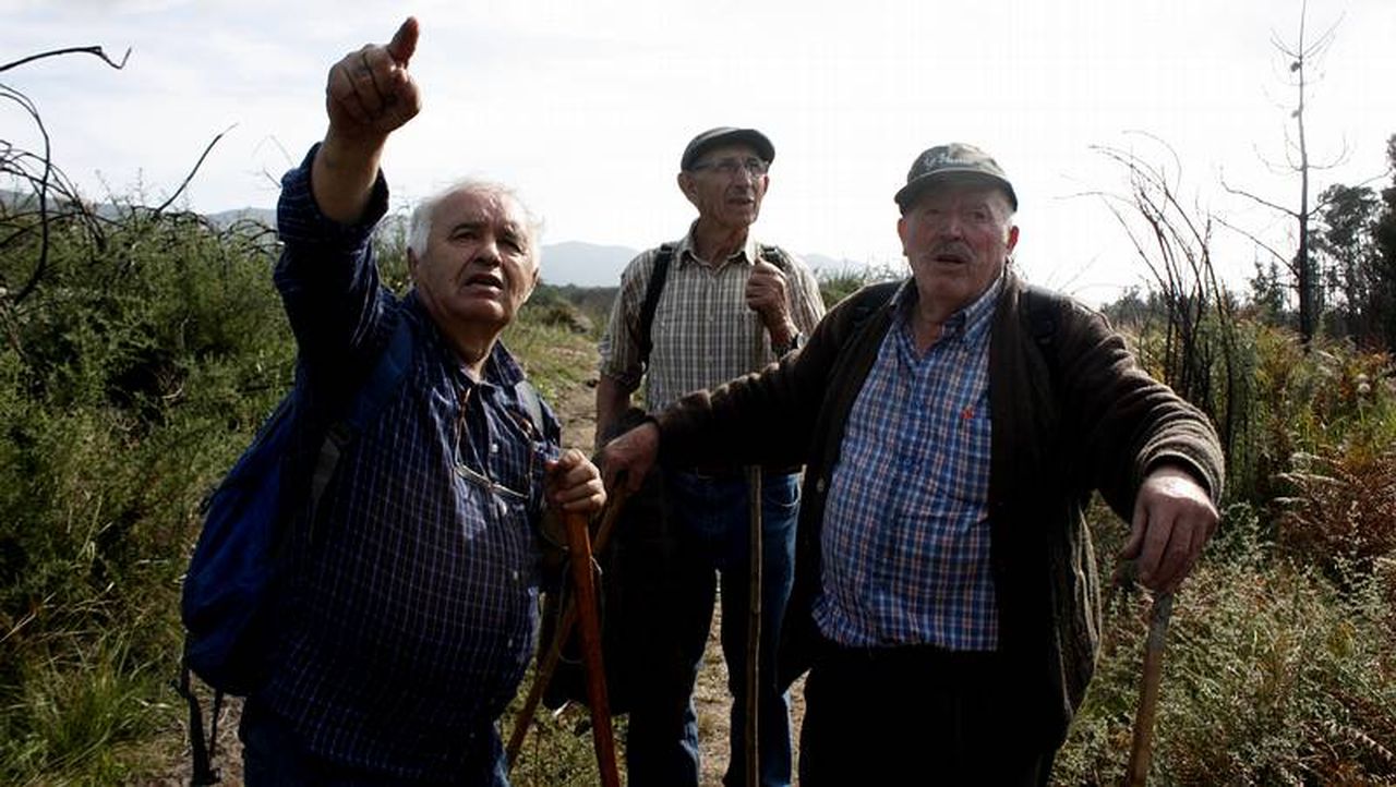 Los viejos guardianes de O Pindo