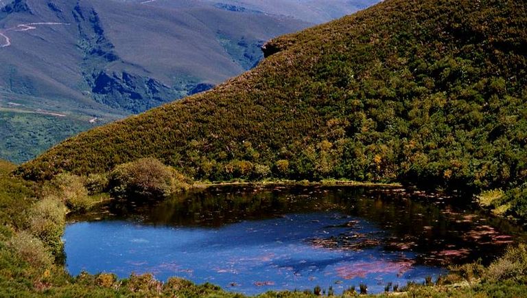 Los 15 lagos y lagunas para visitar en Galicia