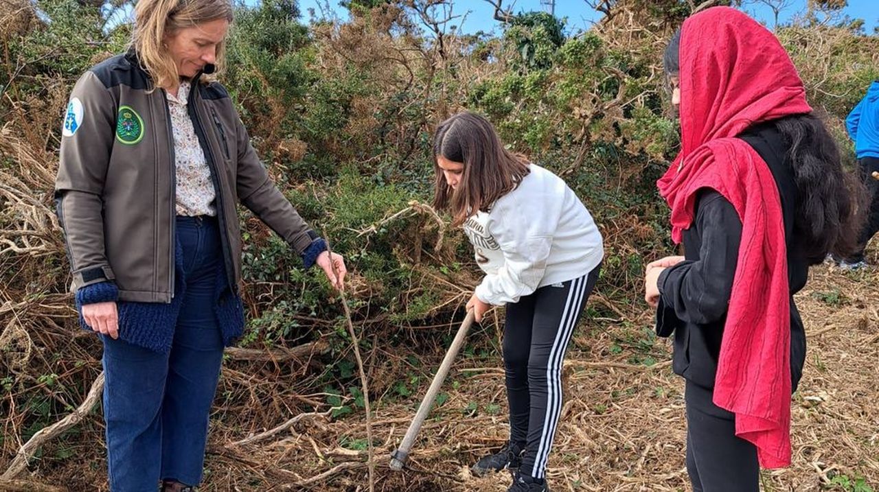 Castaños para el Facho del futuro