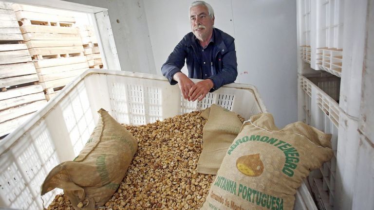 La castaña que rescató Montenegro