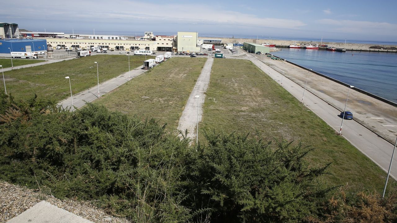 La planta de cría de salmón de Burela peligra por las objeciones de Costas