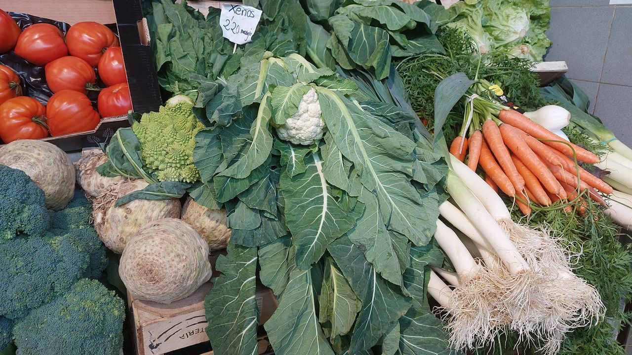 El apionabo se abre camino en Galicia