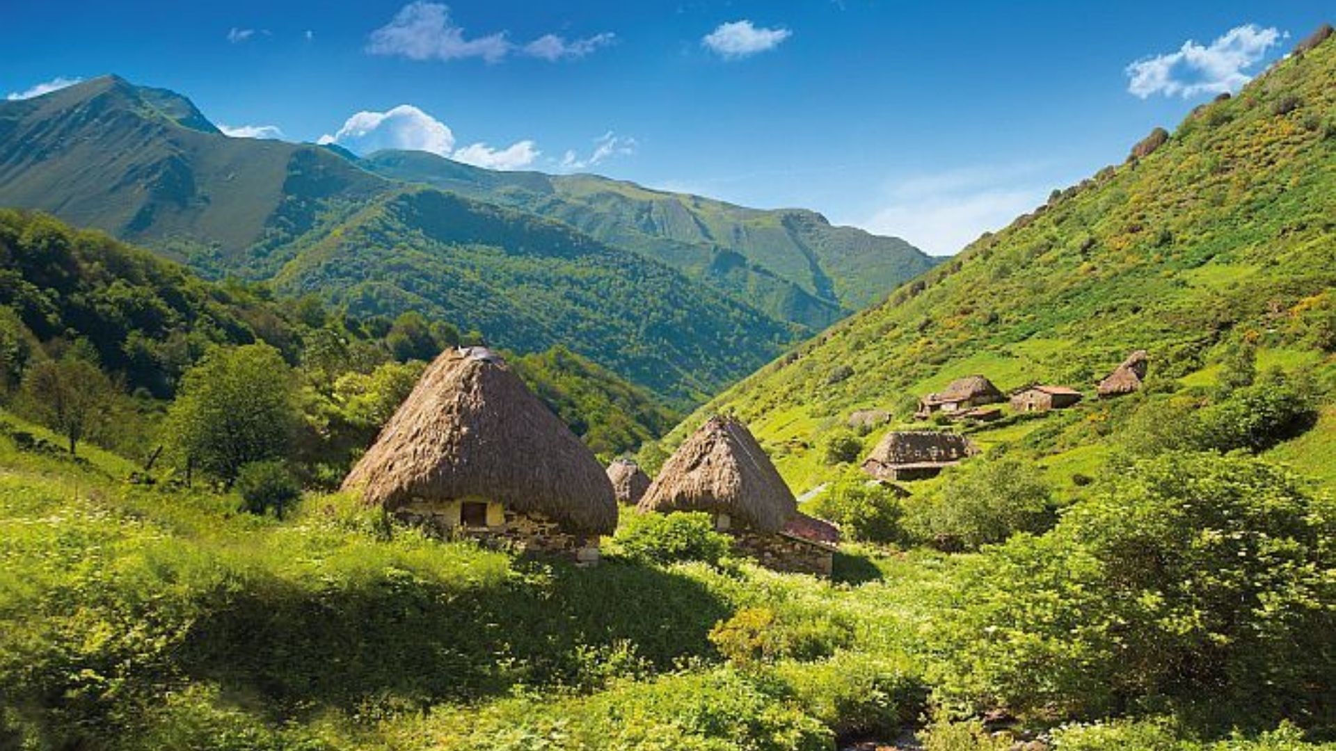 Cinco rutas prodigiosas por el otoño de los bosques asturianos