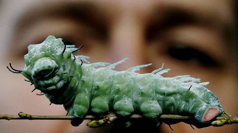 Las mejores fotos del día