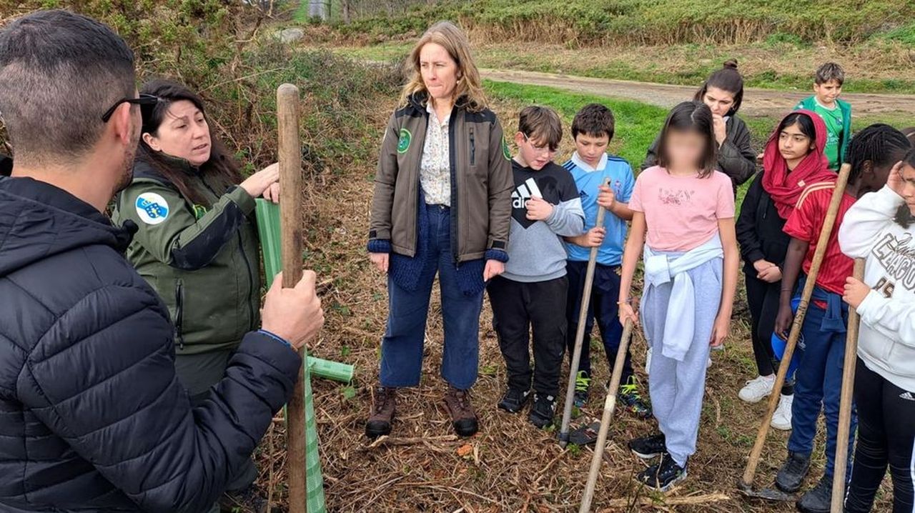 Castaños para el Facho del futuro