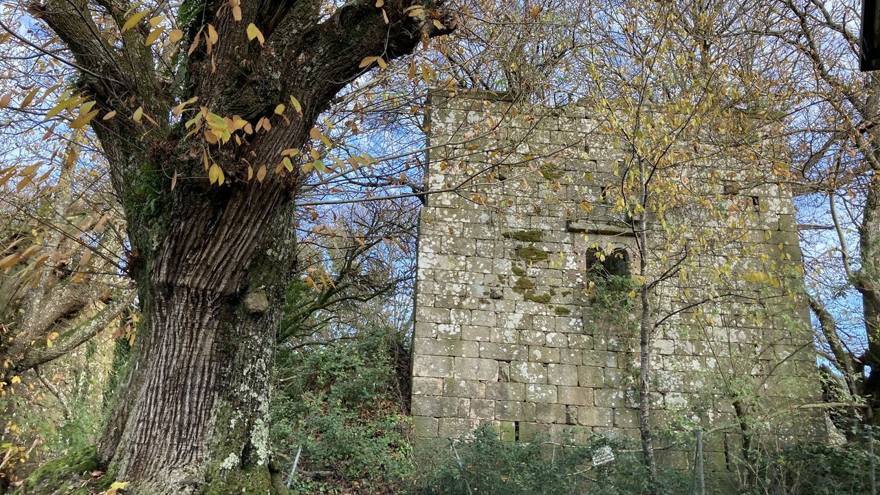 Ponen en marcha la elaboración de informes para pedir que la Tulla de ...