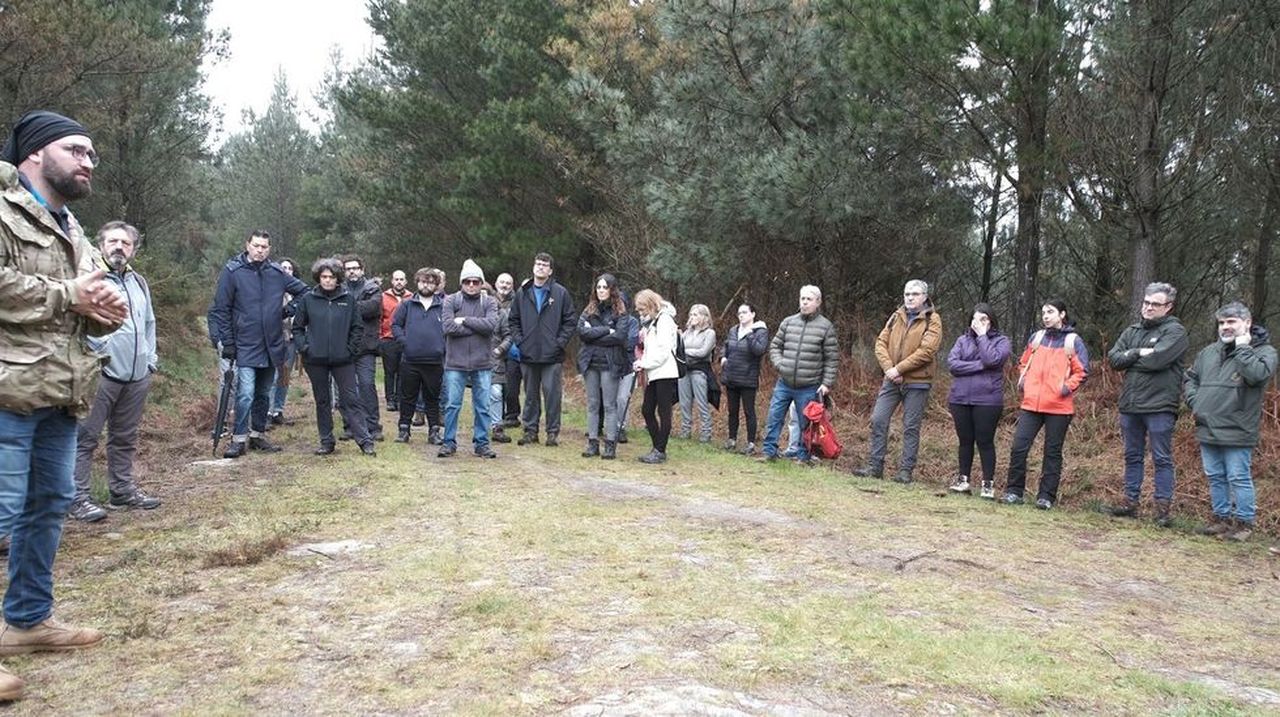 Castro Valente, monte de moito coidado