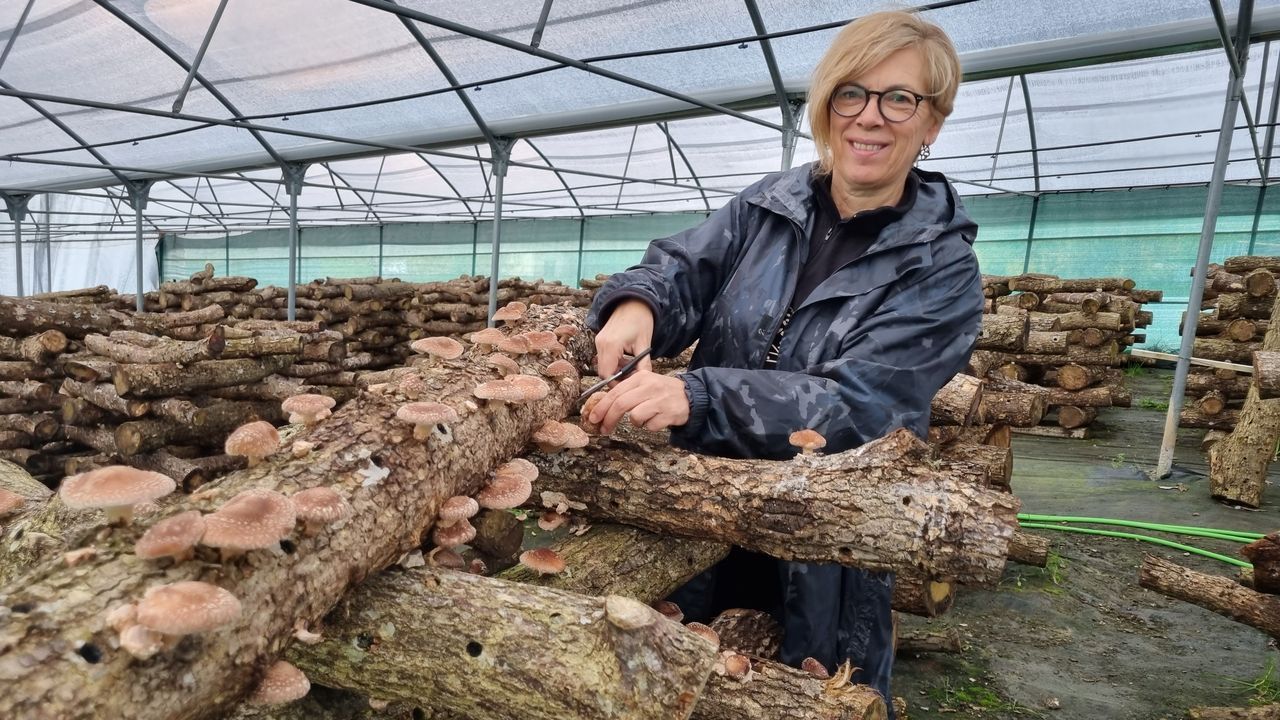 La gallega que cambió su vida pasados los 50 por cultivar setas milenarias