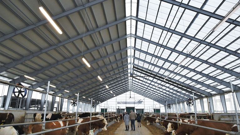 Establos abiertos y plantas de biogás, recetas para ahorrar energía y ...