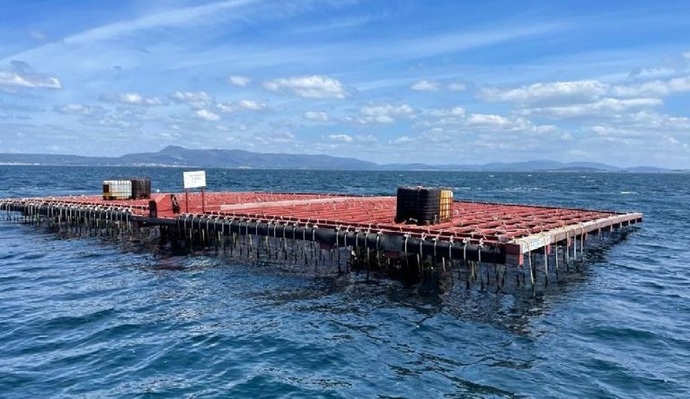 Montan en Sada la primera batea con base de cemento