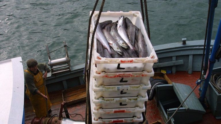 Cada barco de bajura puede pescar 9.000 kilos de merluza este año