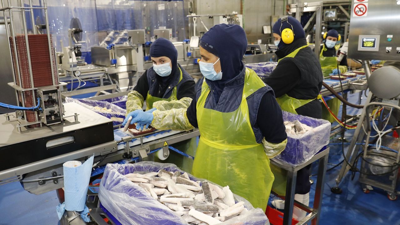 Platinum inyectará 80 millones en Iberconsa y Alberto Encinas tomará el ...