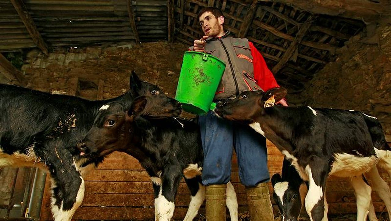 La ordeñada vida de los Liste-Liñares